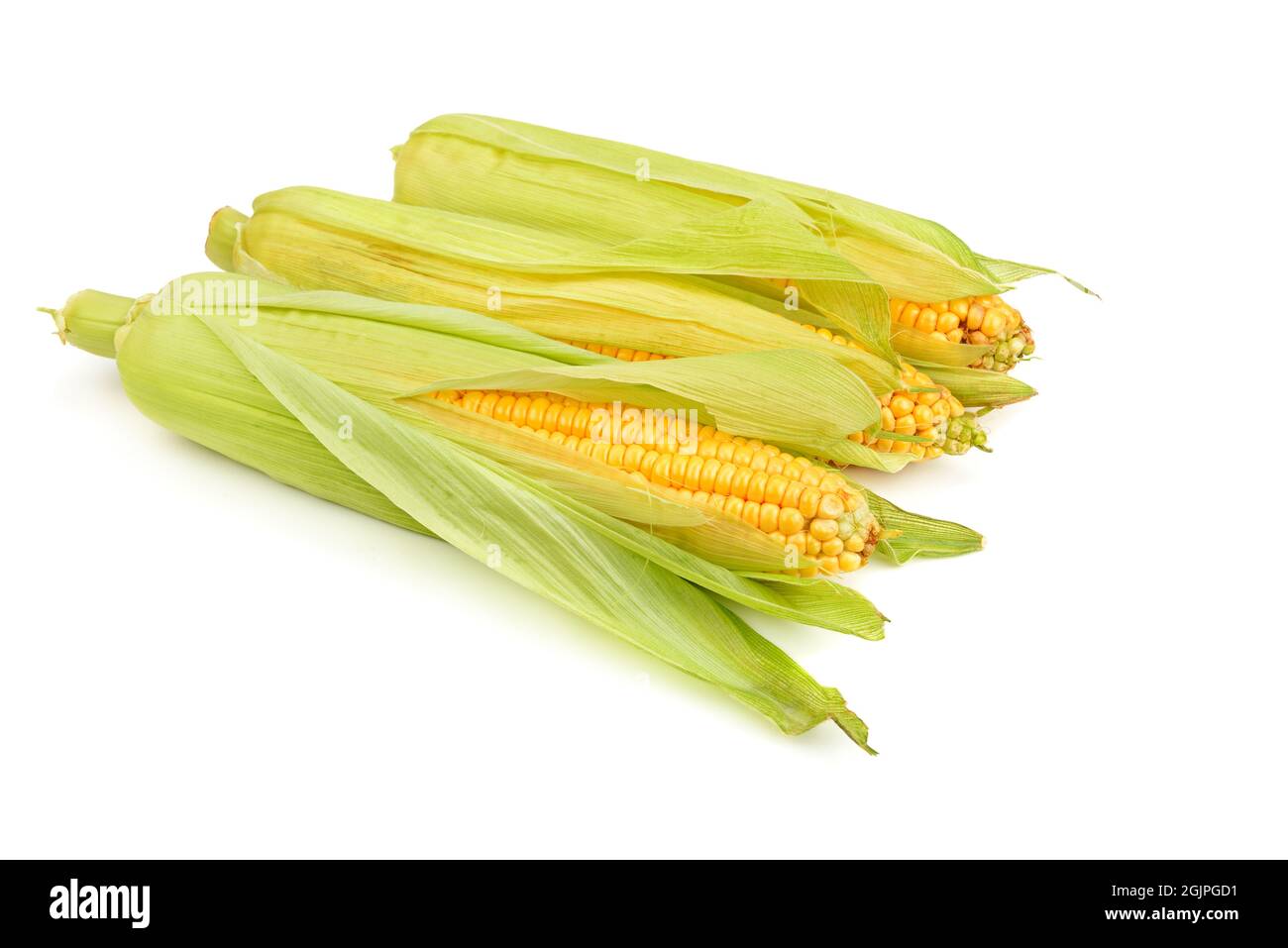 Corn cobs isolated on white background Stock Photo - Alamy