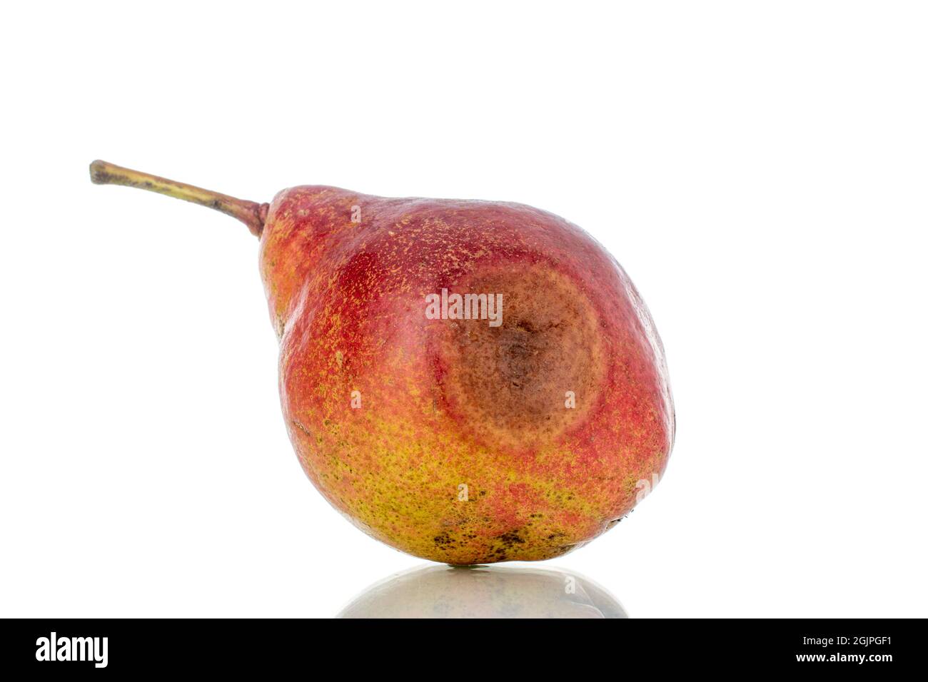Spoiled pear hi-res stock photography and images - Alamy
