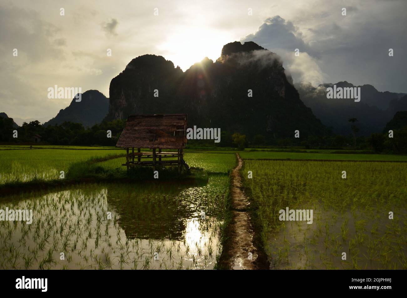 Laos Rice field betwee mountains with Rice Hut early in the moring ...