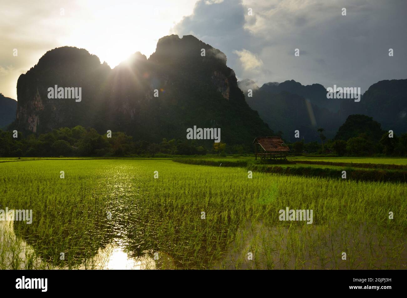 Laos Rice field betwee mountains with Rice Hut early in the moring ...