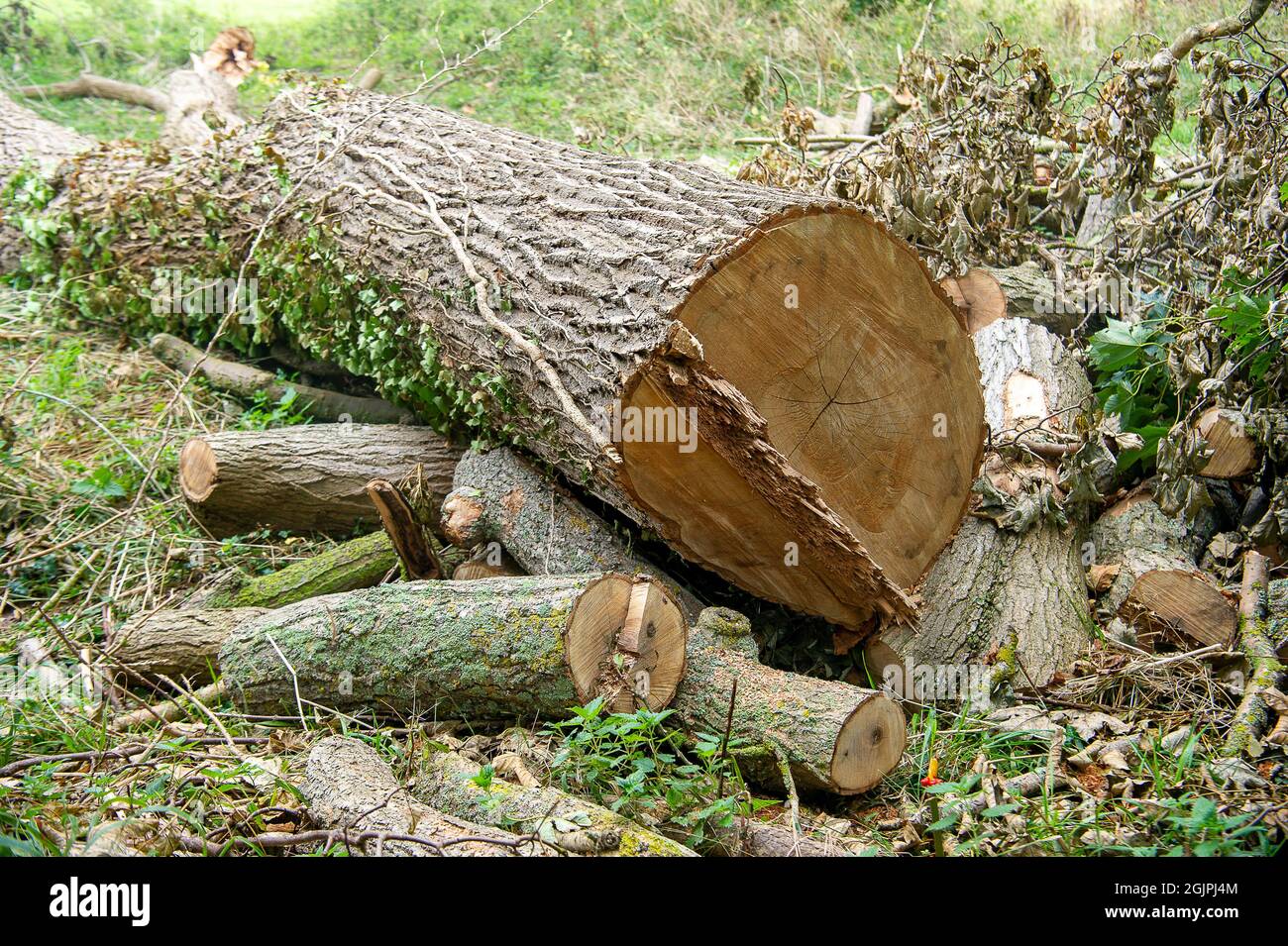 Hs2 hs2 compound hi-res stock photography and images - Alamy