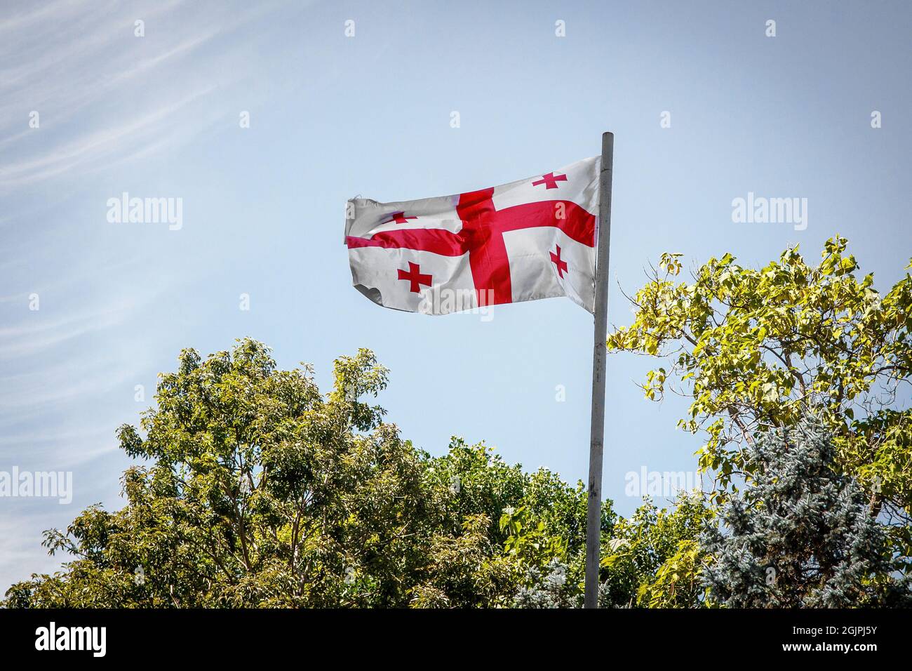 Flag of Georgia against the background of green trees Stock Photo - Alamy