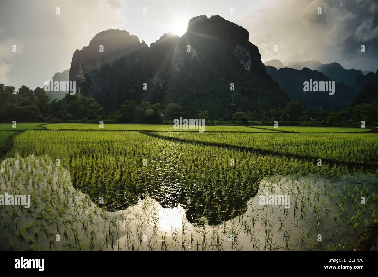 Laos Rice field betwee mountains with Rice Hut early in the moring ...
