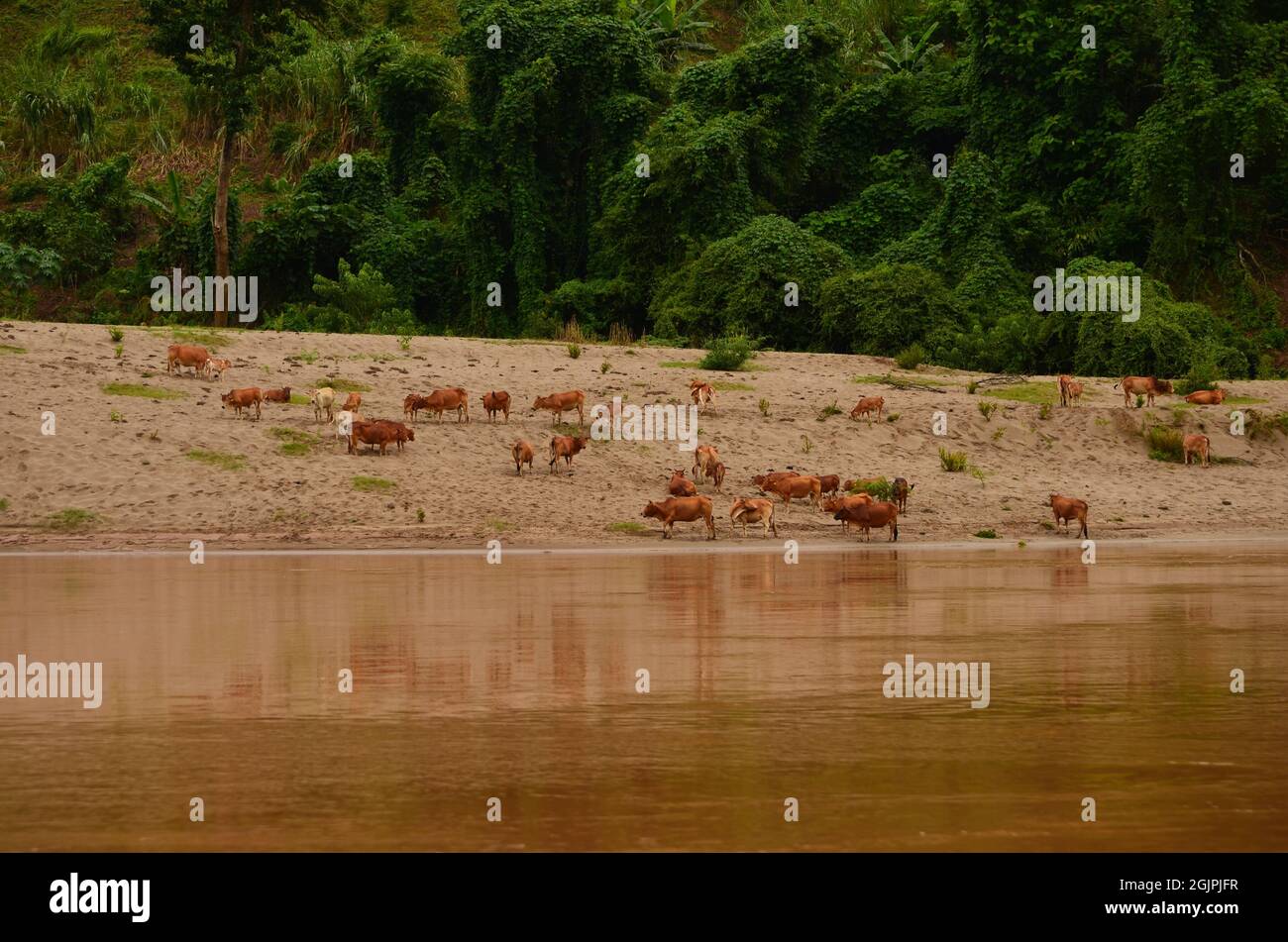 river of mekong at Laos pictures from tourism boat to mountains and ...