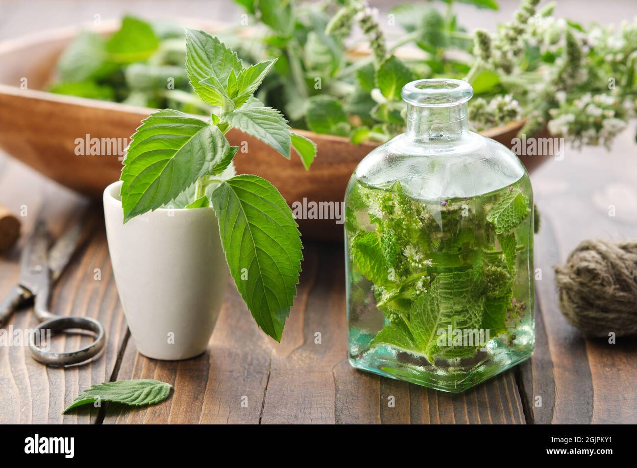 Made herbal infusion with mint leaves hi-res stock photography and ...