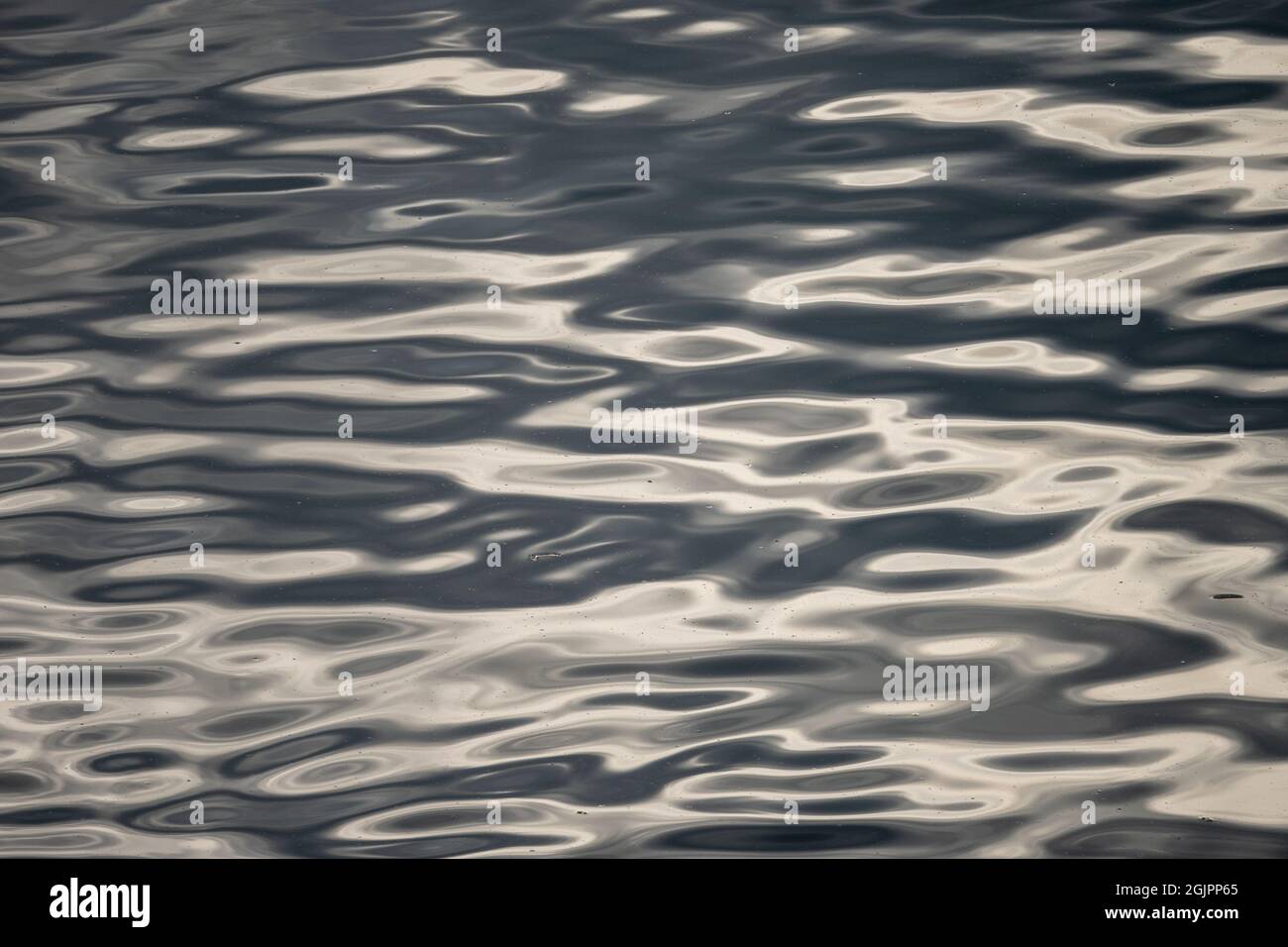 Oil Liquid Texture