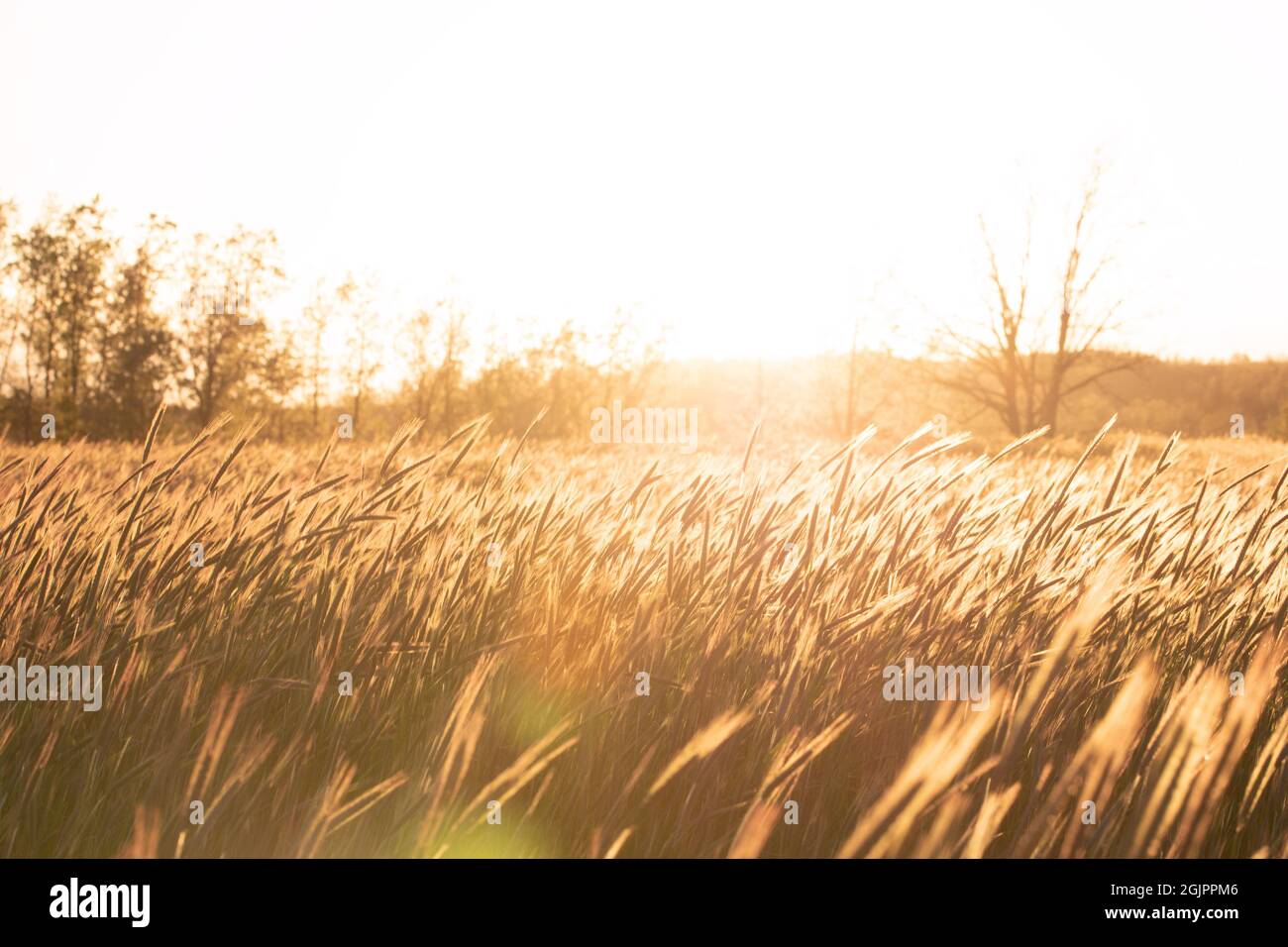 Parture hi-res stock photography and images - Alamy