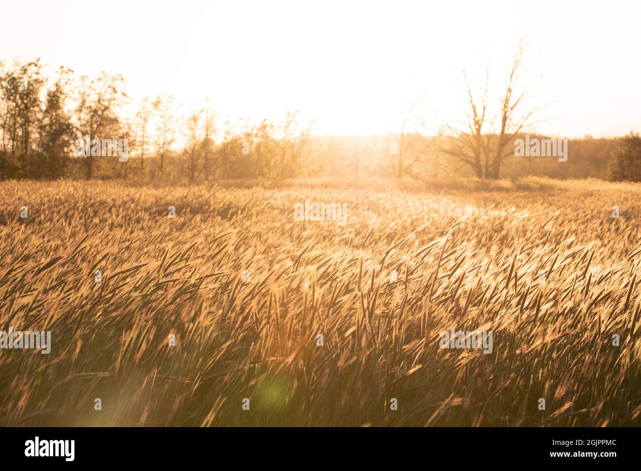 Parture hi-res stock photography and images - Alamy