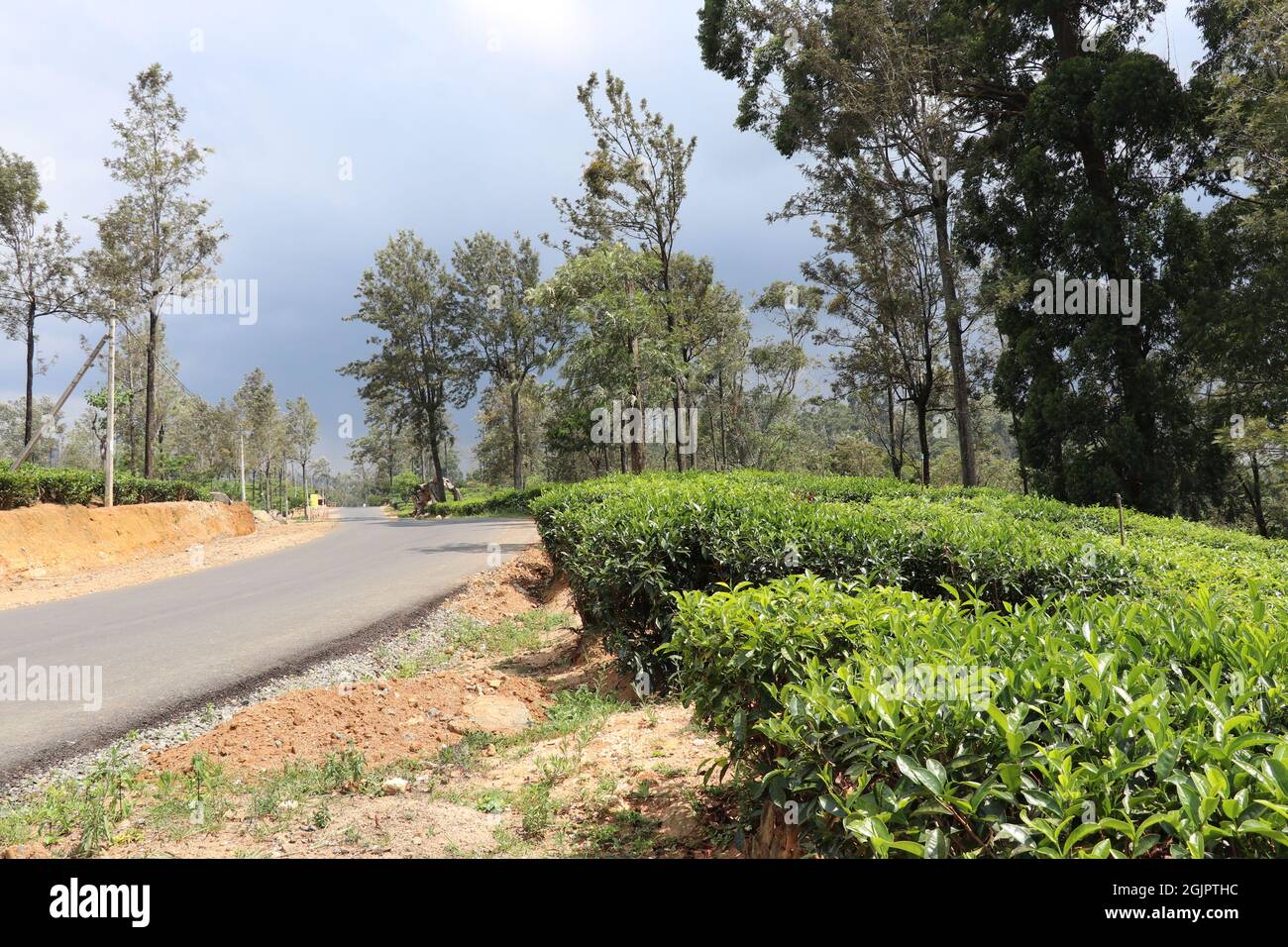 Beautiful country landscape asphalt hi-res stock photography and images ...