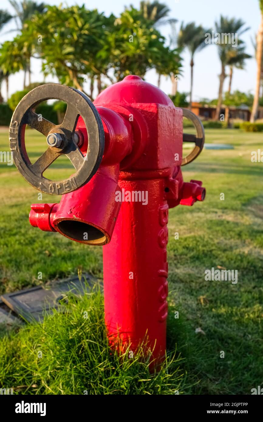 Close-up of a red fire hydrant on the lawn next to the sea. Beach and ...