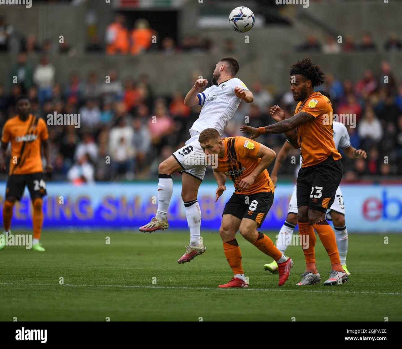 Matt docherty hi-res stock photography and images - Alamy