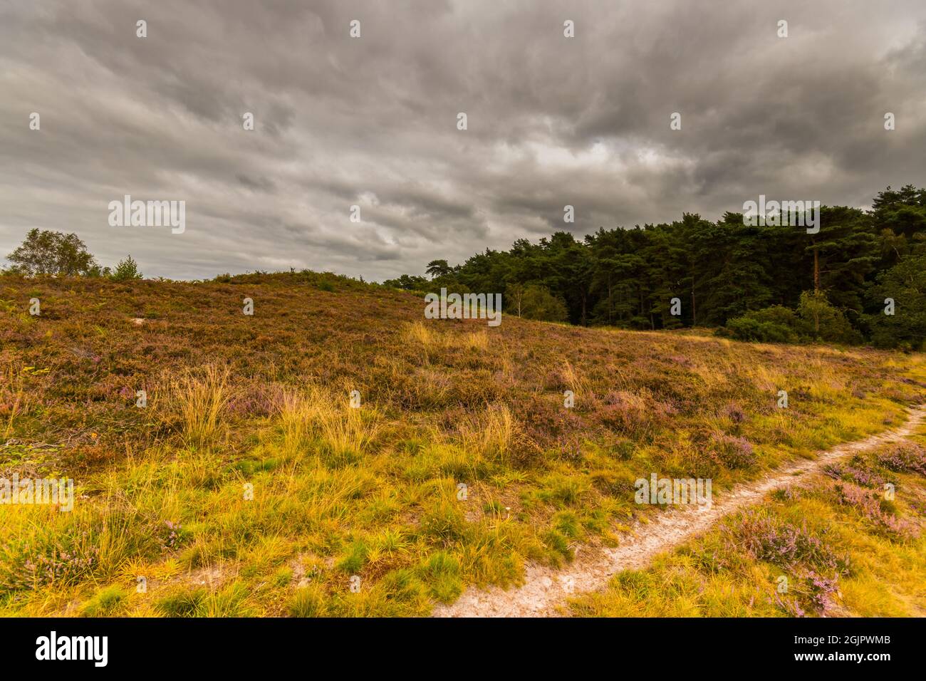 Storrington west sussex uk hi-res stock photography and images - Alamy