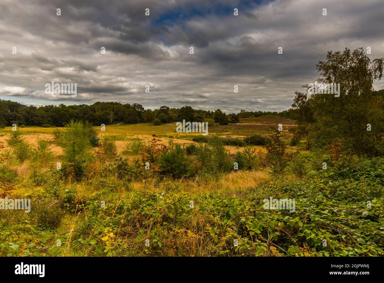 Storrington west sussex uk hi-res stock photography and images - Alamy