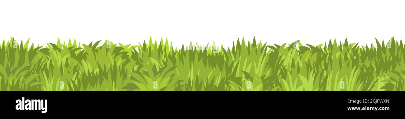 Lawn. Seamless illustration. Grass close-up. Green summer landscape ...