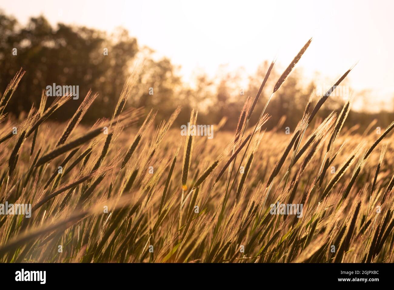 Parture High Resolution Stock Photography and Images - Alamy