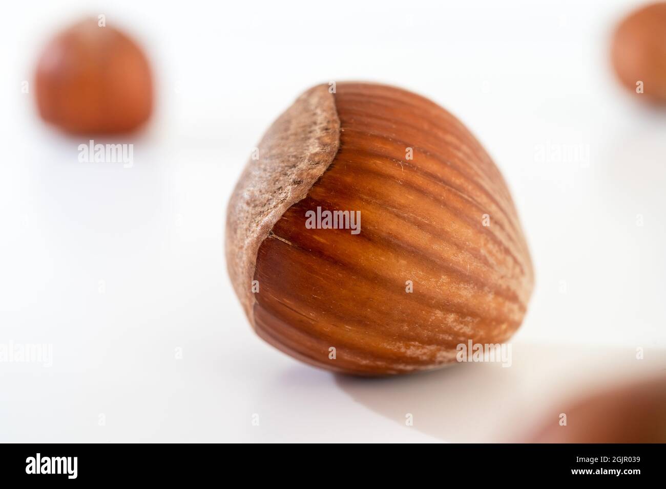 beautiful hazelnuts isolated on white background. Copy space for text ...