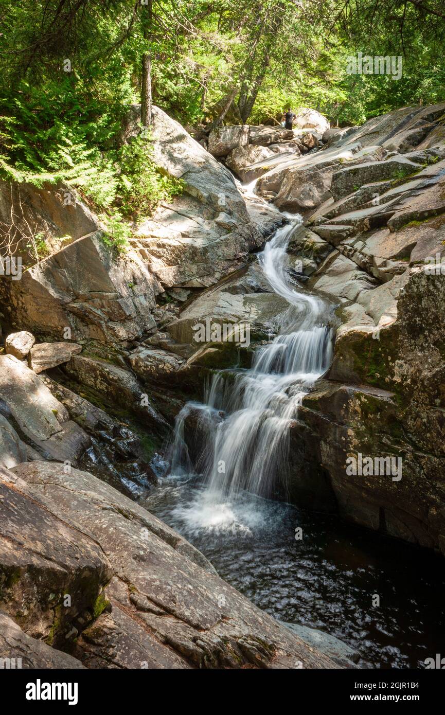 Cascade Stream Gorge - a popular hike for summer visitors, Sandy River ...