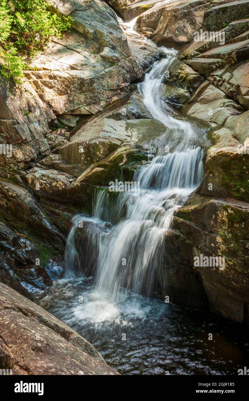 Cascade Stream Gorge - a popular hike for summer visitors, Sandy River ...