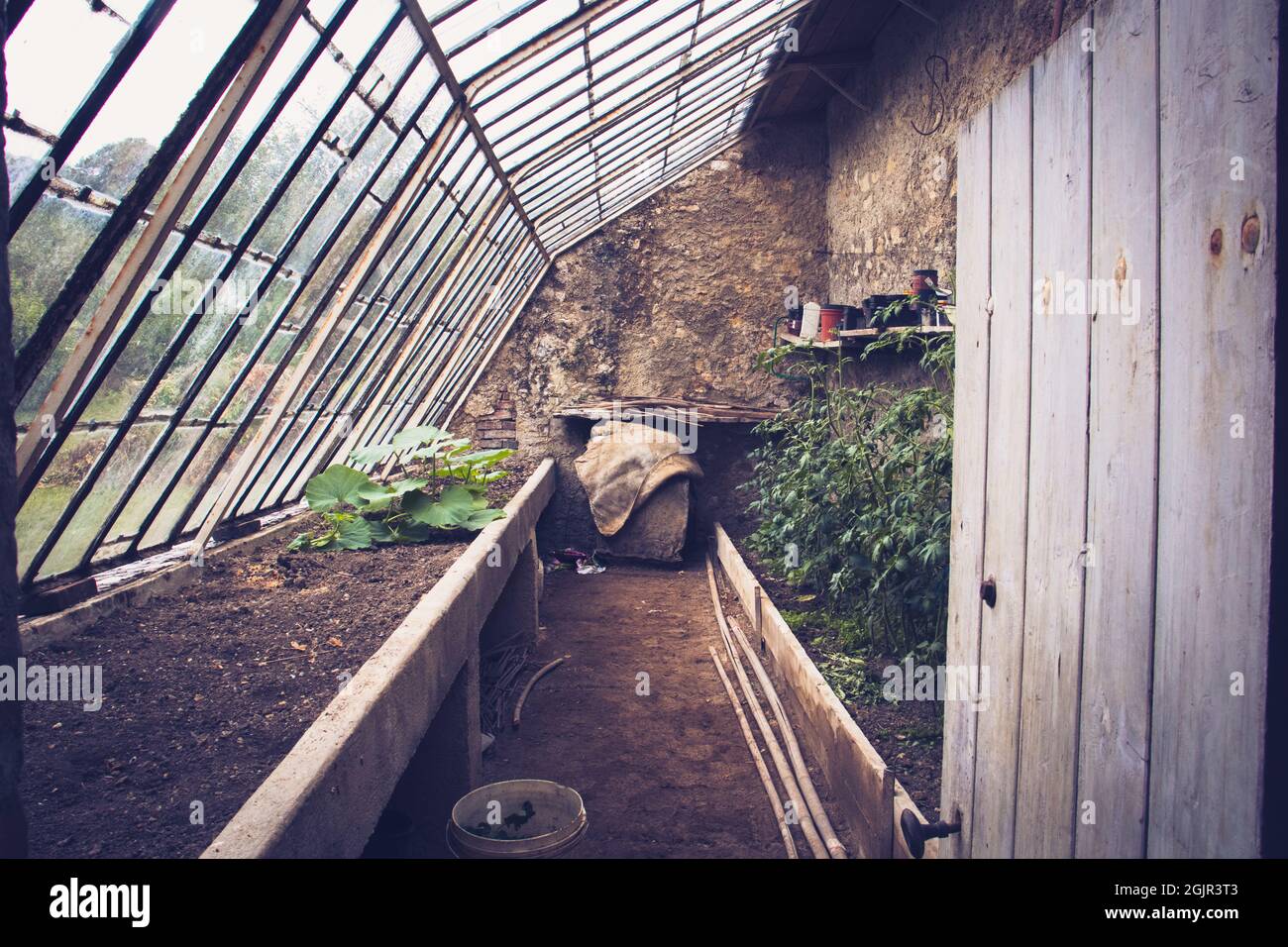 Greenhouse with plants during the sunset Stock Photo - Alamy