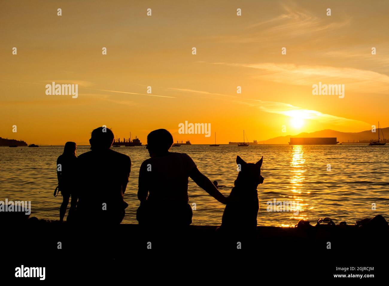 dog watching sunset Stock Photo - Alamy