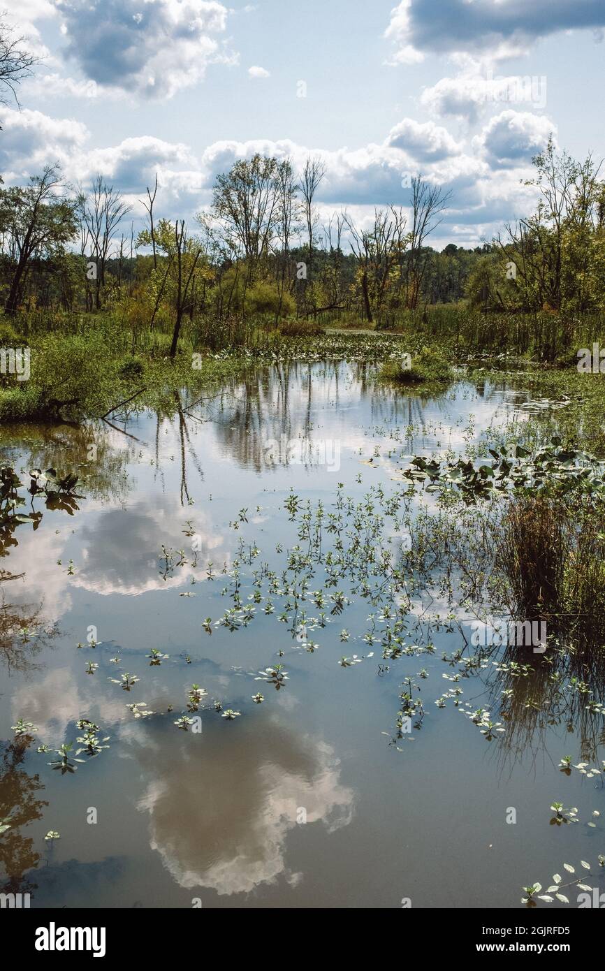 The Lake Conestee Nature Preserve and Recreational Park is a favorite ...