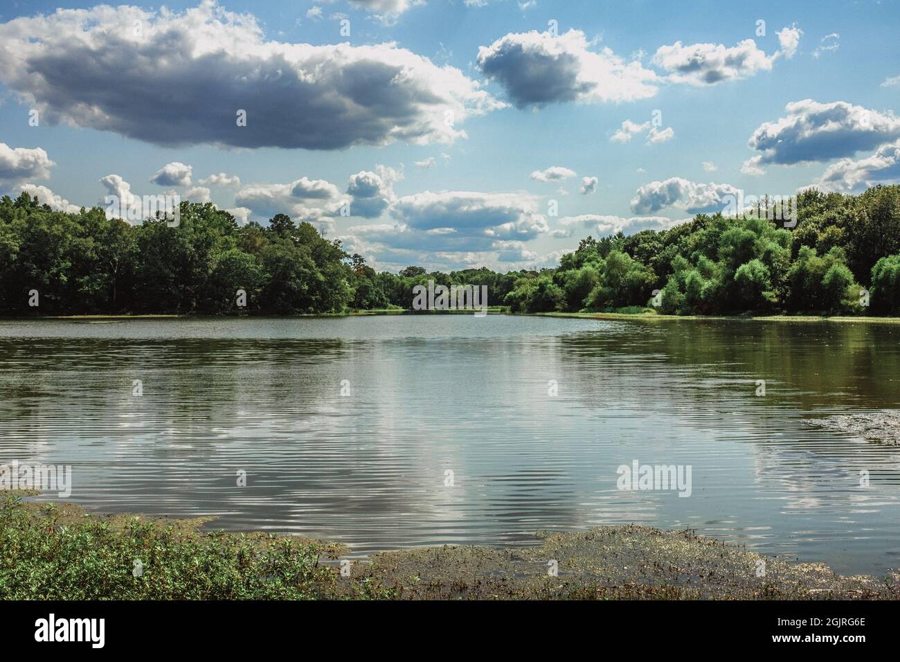 Lake conestee nature preserve hi-res stock photography and images - Alamy