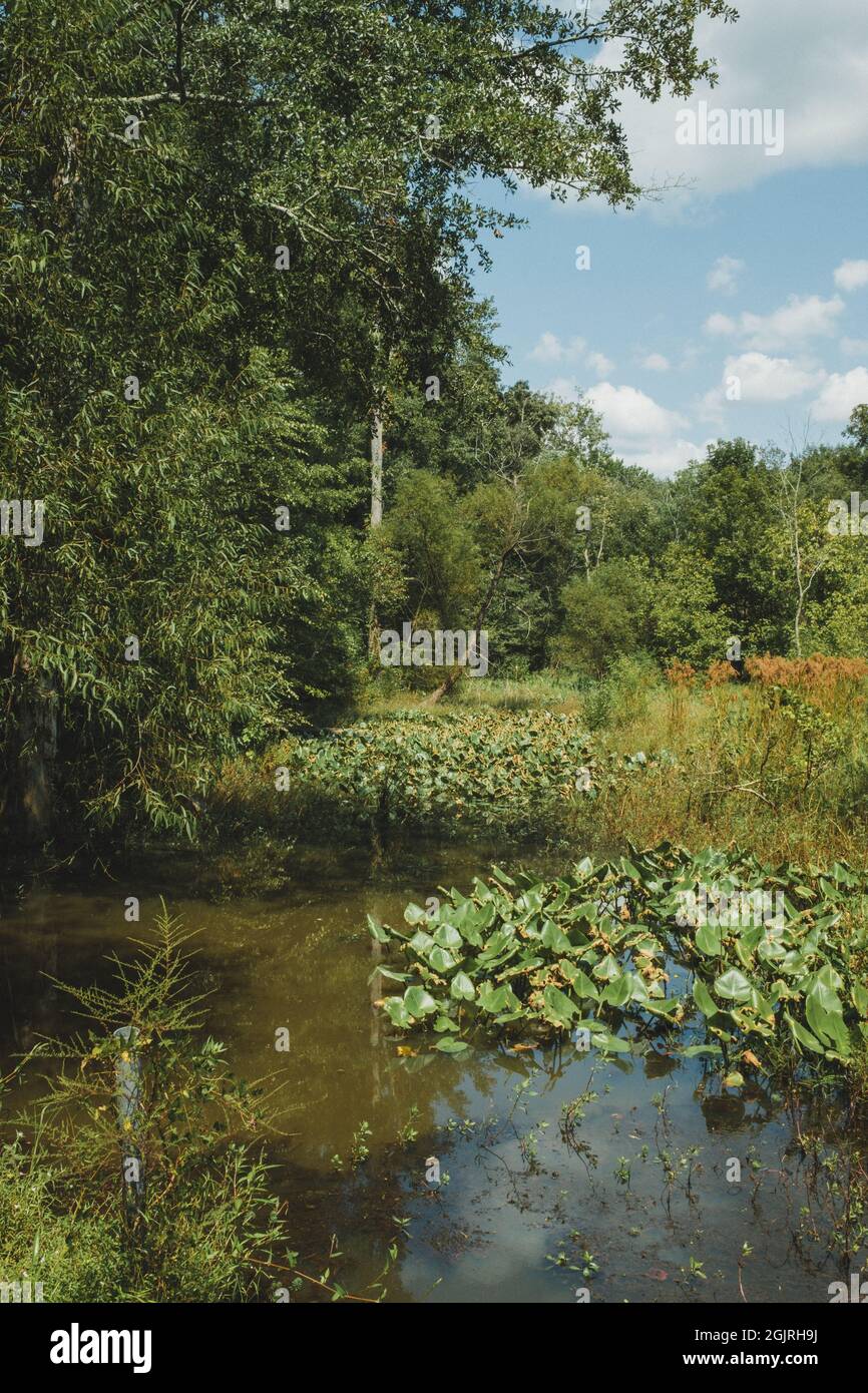 The Lake Conestee Nature Preserve and Recreational Park is a favorite ...
