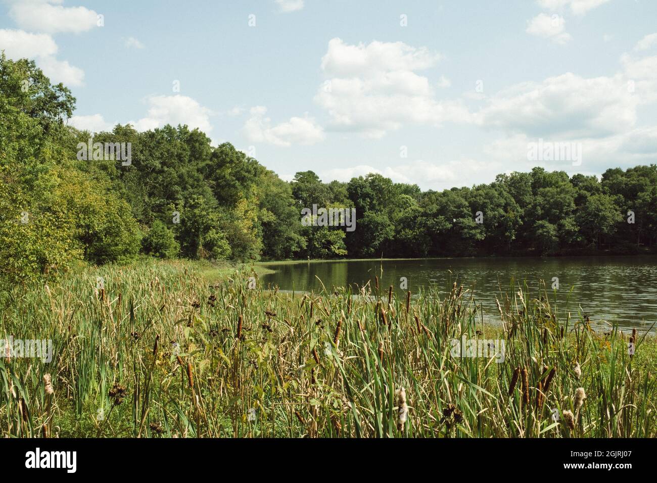 The Lake Conestee Nature Preserve and Recreational Park is a favorite ...