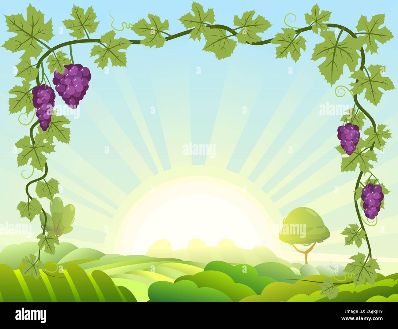 Grapes farming sun Stock Vector Images - Alamy