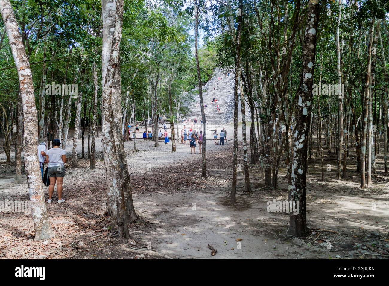 COBA, MEXICO - MARCH 1, 2016: Tourist visit the Pyramid Nohoch Mul at ...