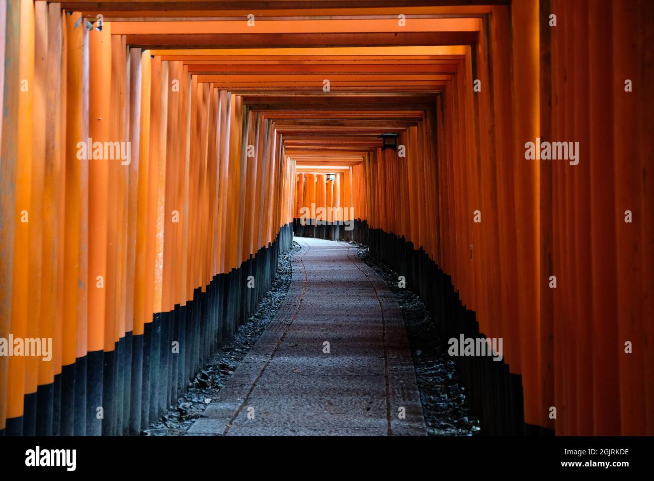 path through red torii gates in Fushimi Inari kyoto Japan Stock Photo ...