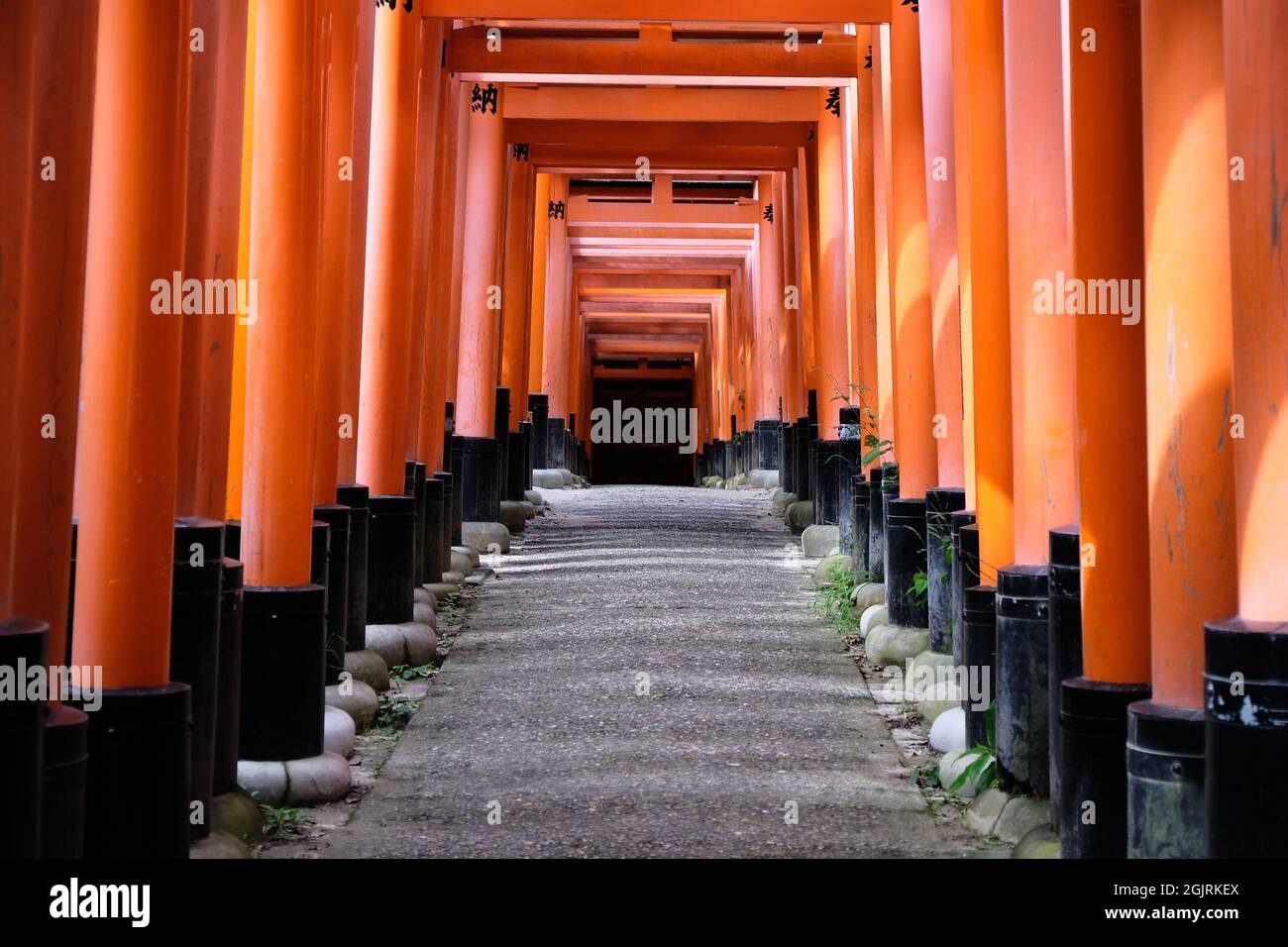 path through red torii gates in Fushimi Inari kyoto Japan Stock Photo ...