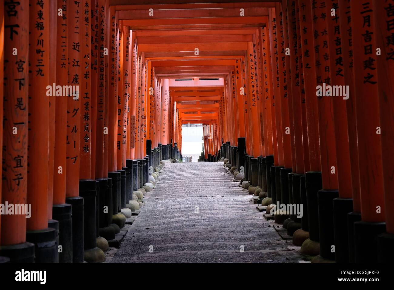 path through red torii gates in Fushimi Inari kyoto Japan Stock Photo ...