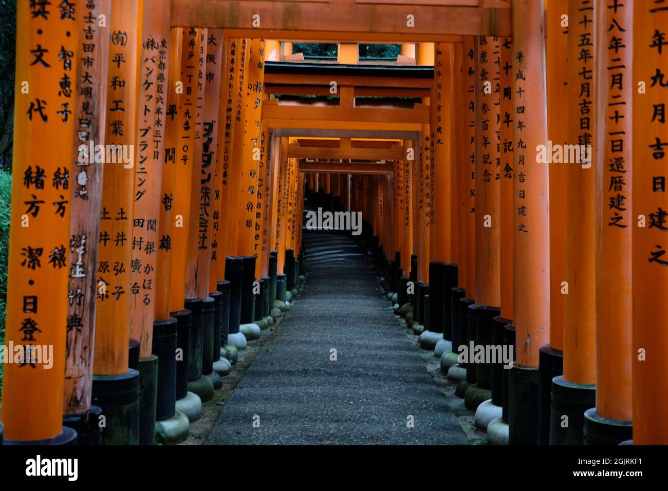 path through red torii gates in Fushimi Inari kyoto Japan Stock Photo ...