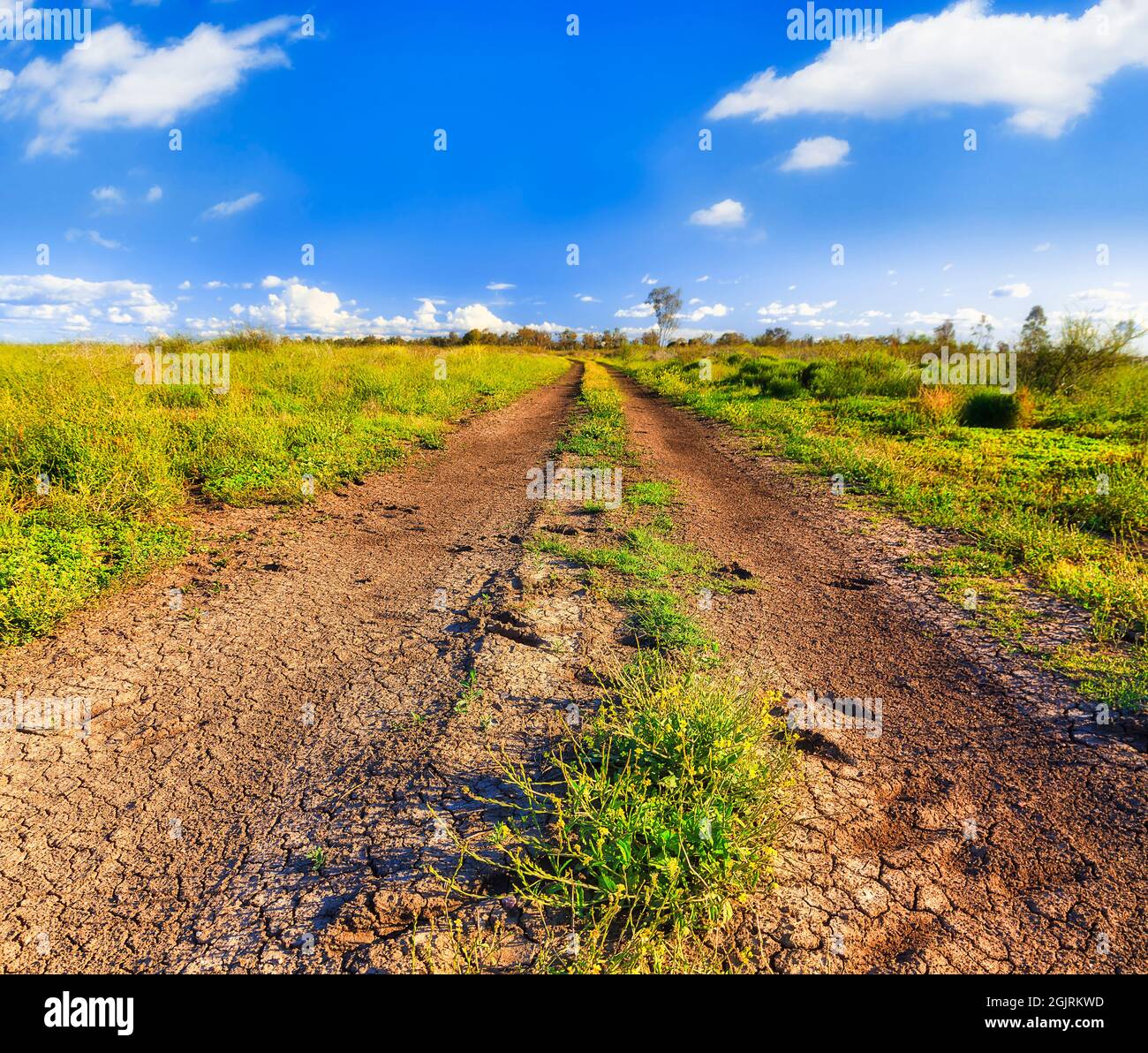 Australian wheat fields hi-res stock photography and images - Alamy