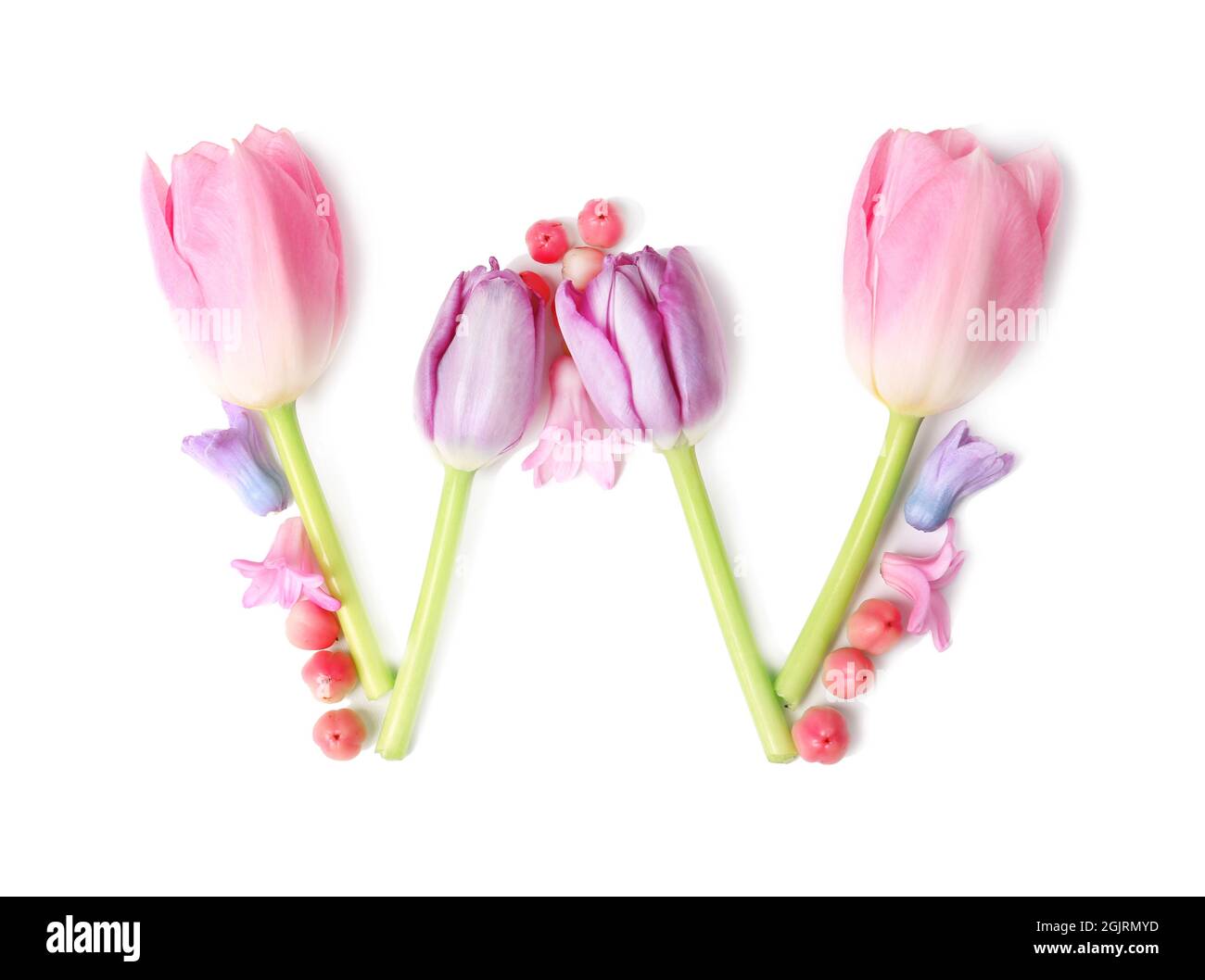 Letter W made of flowers on white background Stock Photo - Alamy