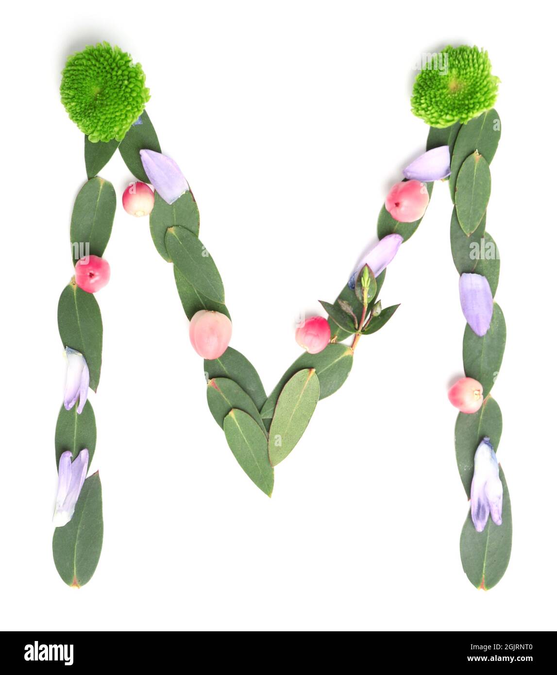 Letter M made of flowers and herbs on white background Stock Photo - Alamy