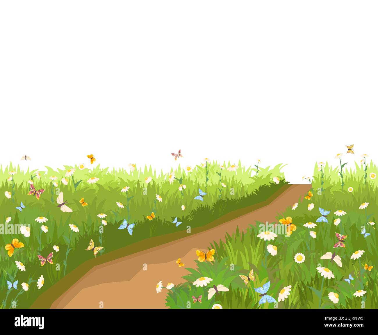 Road. Meadow with wildflowers and butterflies. illustration. Grass ...