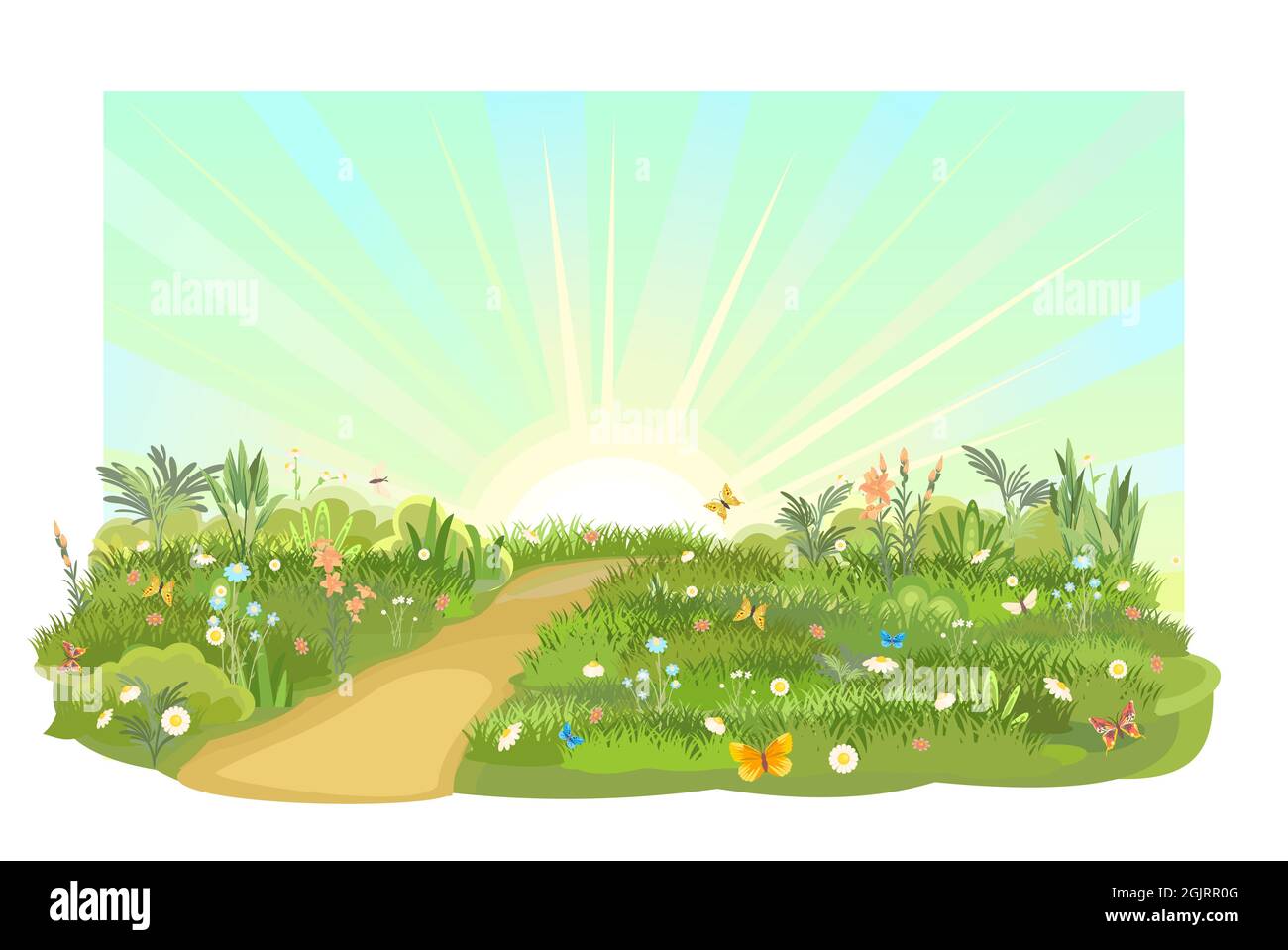 Rural road obliquely to Green Glade. Summer meadow. Flower. Trail ...