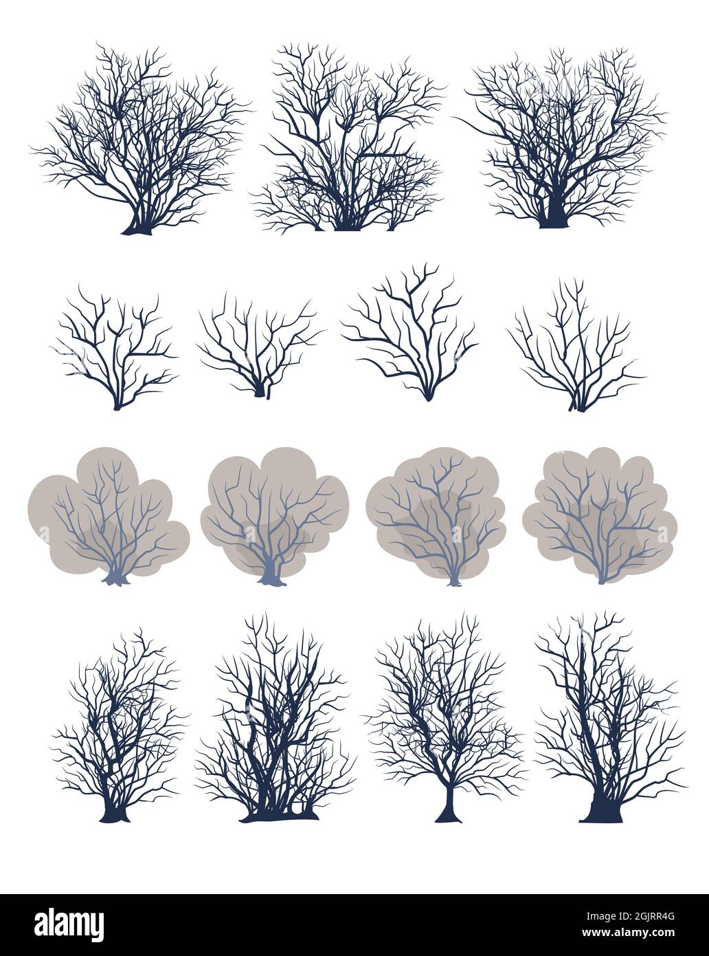 A set of bare trees. Crown with branches. Detailed. Bushes covered with ...
