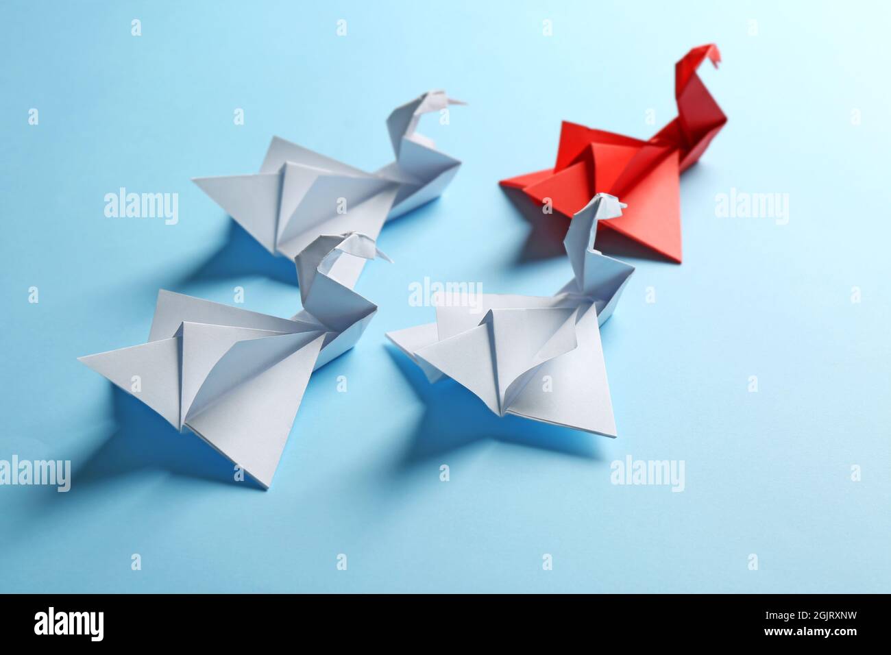 Boss vs Leader concept. White origami birds behind red one on blue ...