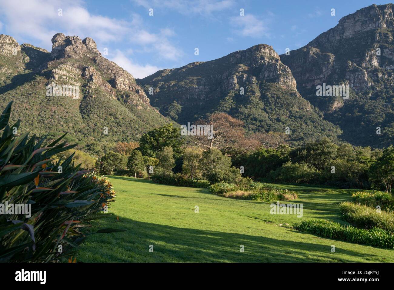 High definition large picture hi-res stock photography and images - Alamy