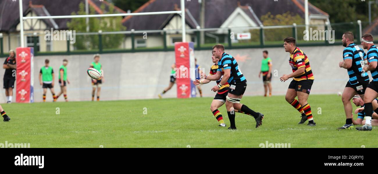 Dan fish cardiff hi-res stock photography and images - Alamy