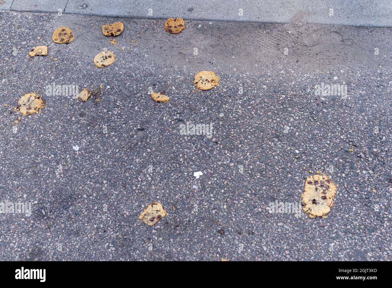 Smooshed chocolate chip cookies on the ground, taken at the Minnesota ...