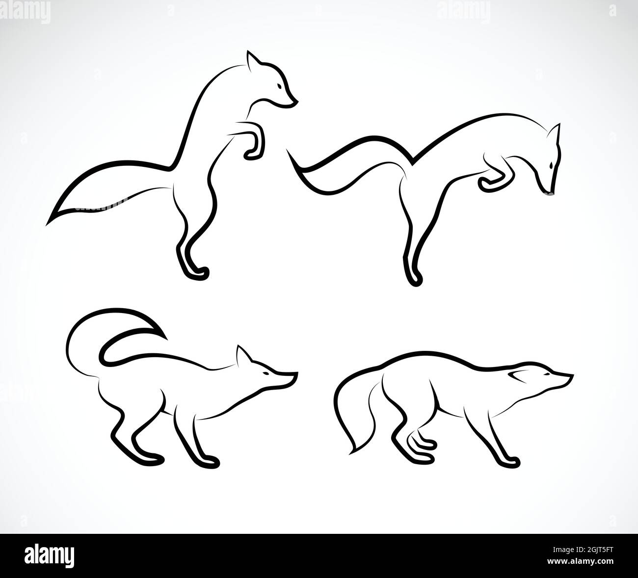 Vector image of fox on white background. Easy editable layered vector ...