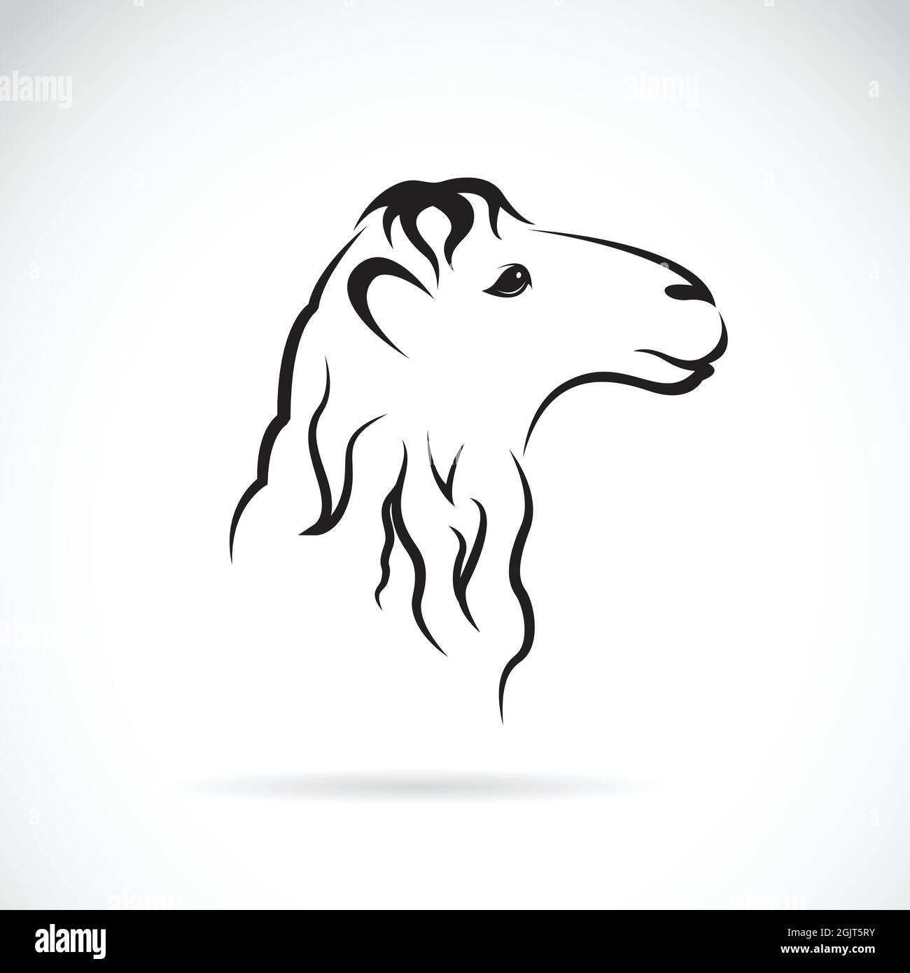 Vector image of an camel head on white background. Easy editable ...
