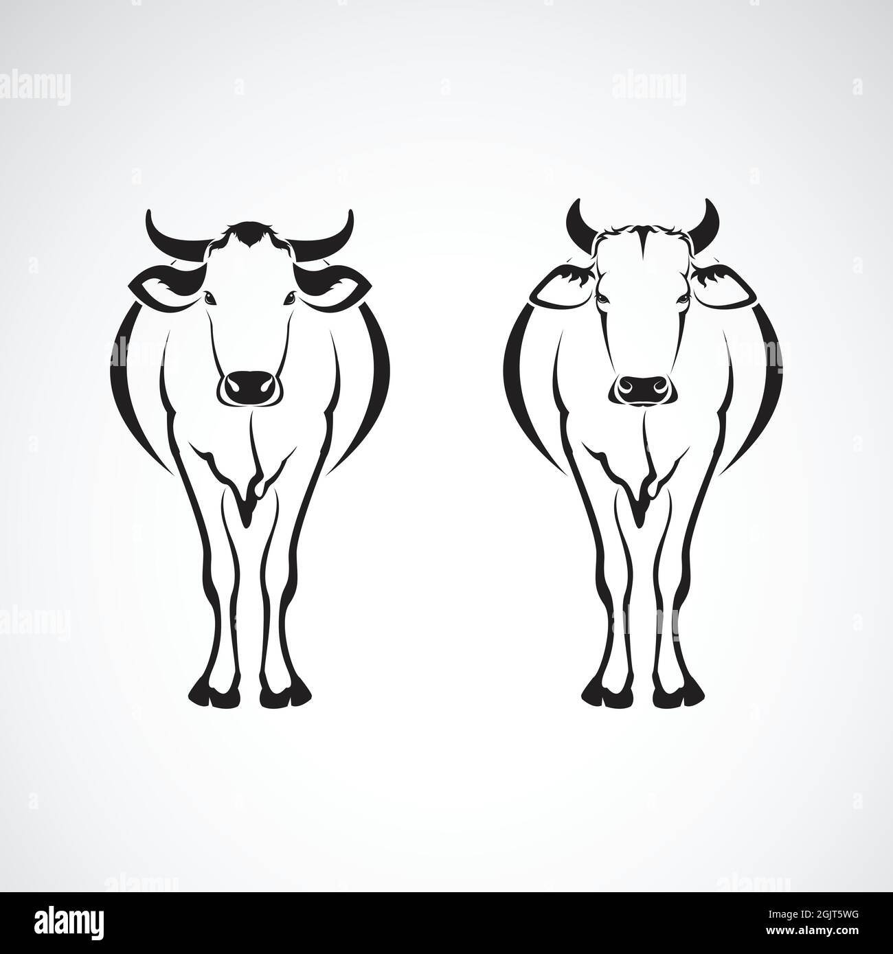 Vector image of an two cows on a white background. Easy editable ...