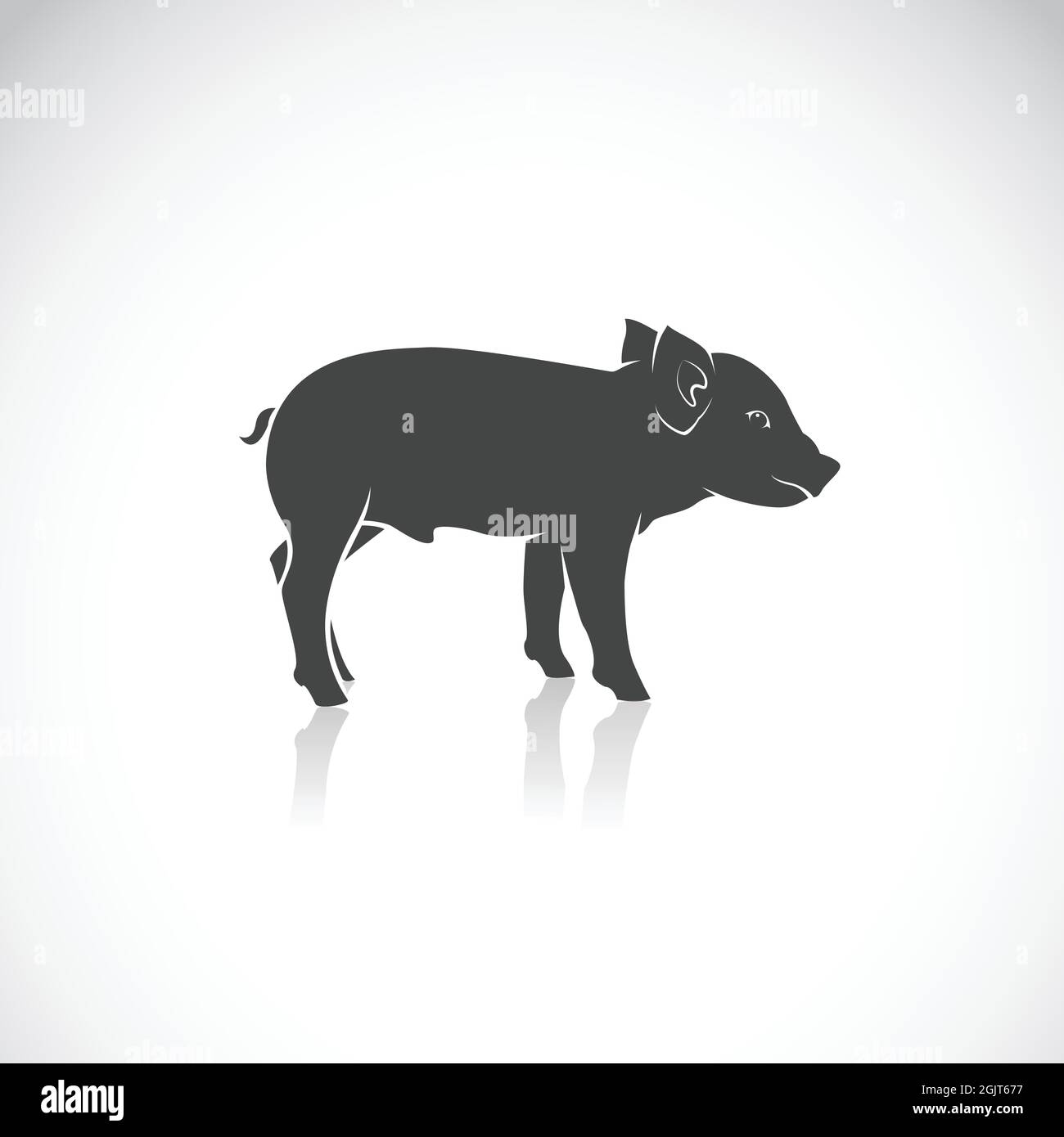 Vector image of a piglet on white background. Easy editable layered ...