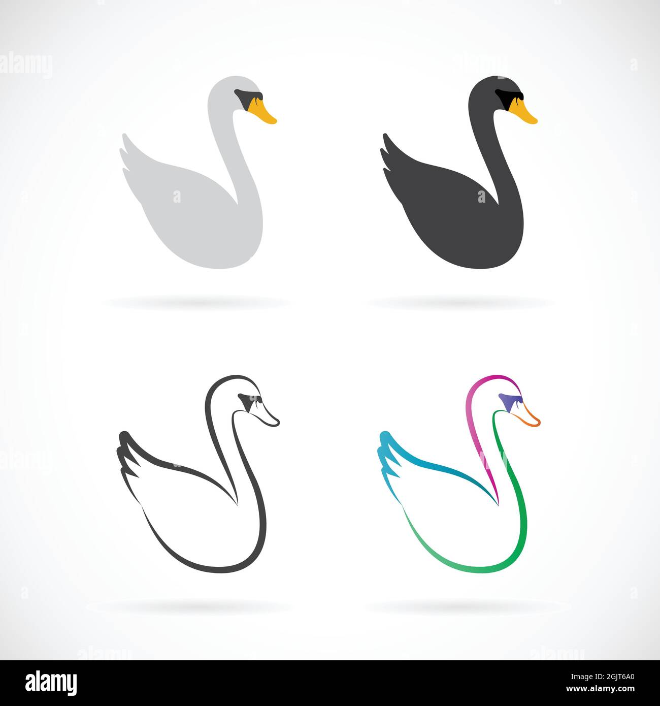 Vector image of swan design on white background. / Vector swan for your ...
