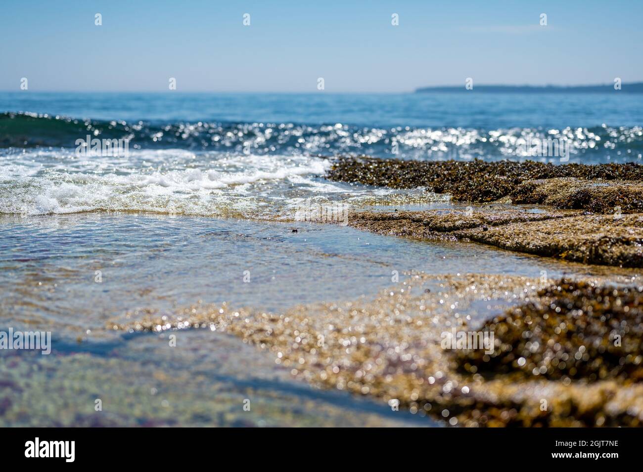 Tide refreshing pools at the oceanfront of Wonderland Trail Acadia ...